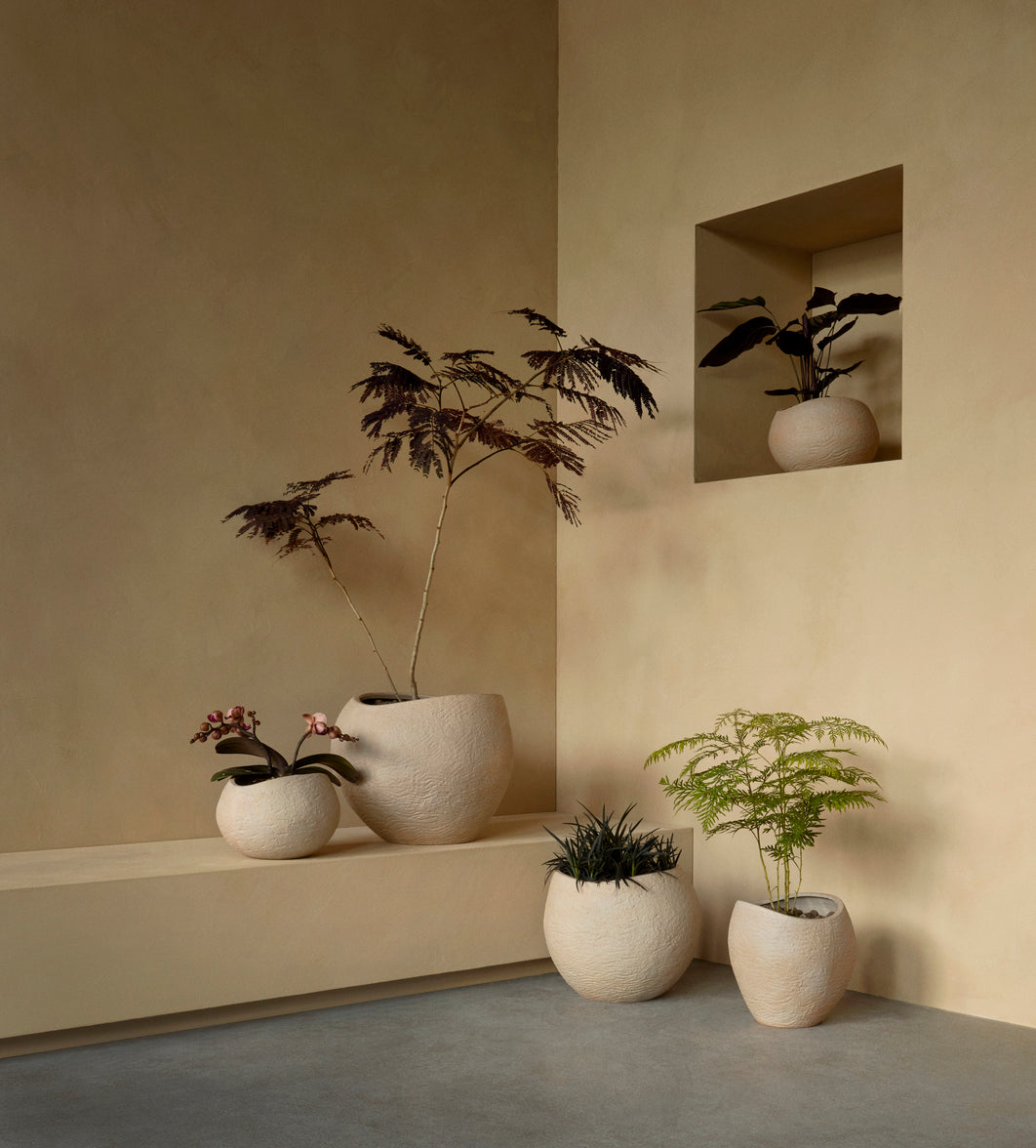 Garden Collection