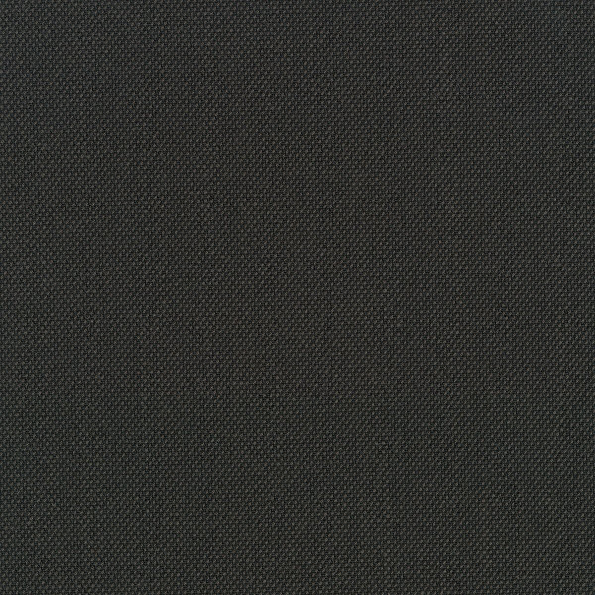 Steelcut Trio 3, 383